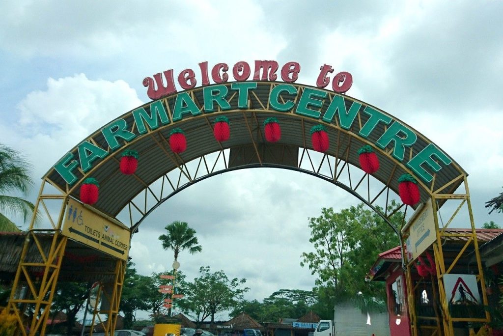 Farmart Centre: Rustic Farm Experience