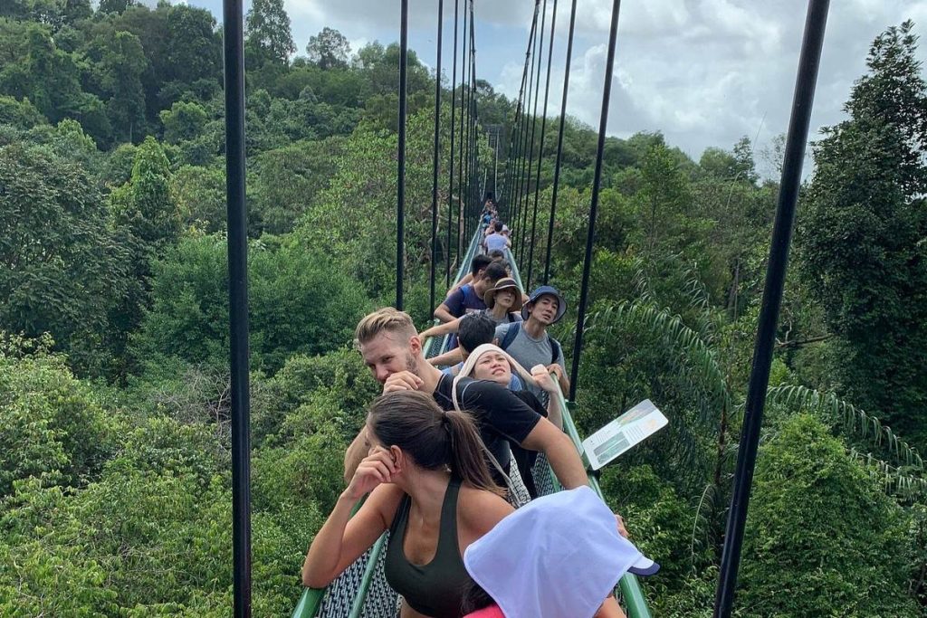 MacRitchie Reservoir Park: Treetop Walk & Nature Trails
